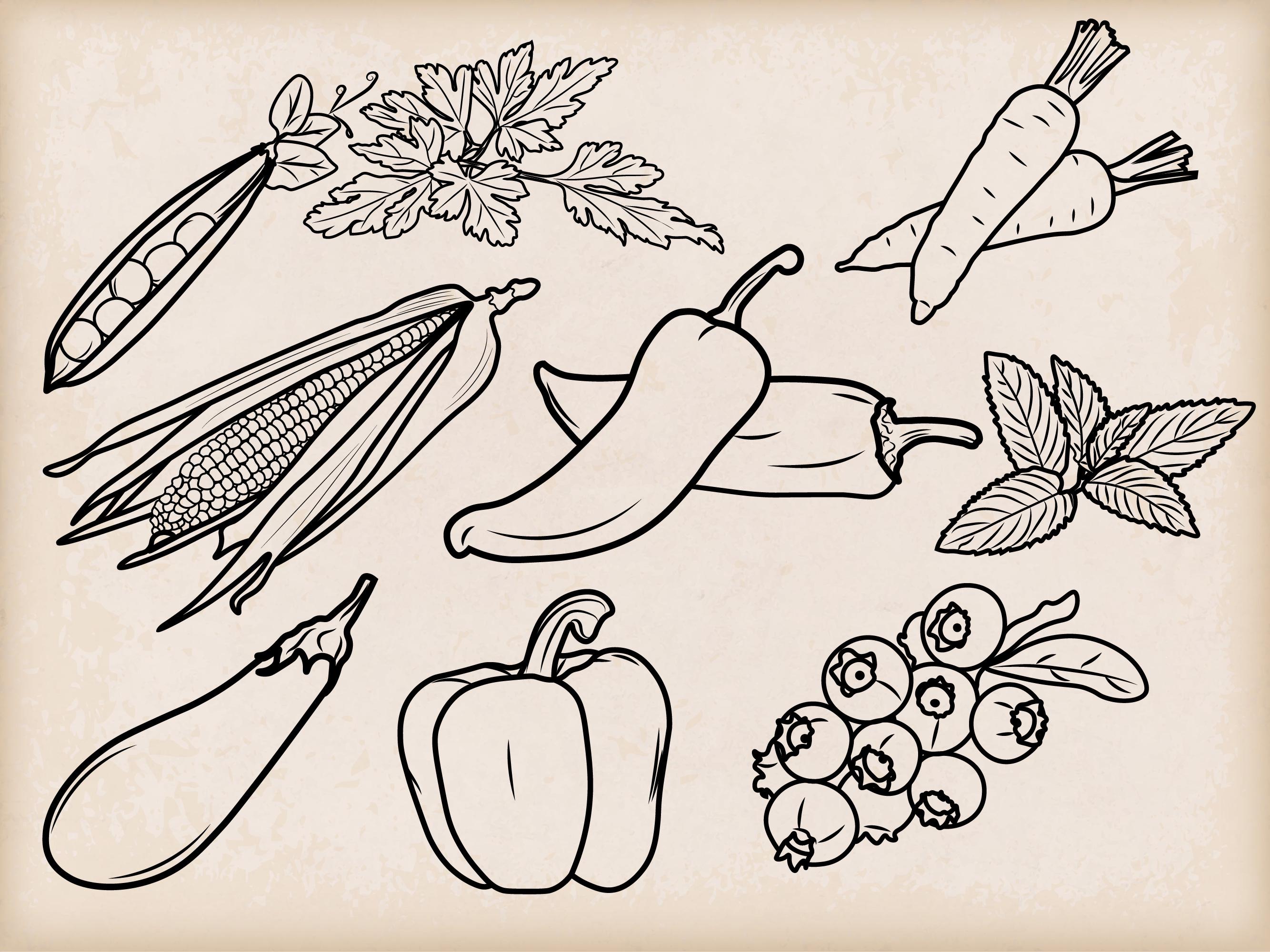 Vegetable and Fruit Clipart Bundle, Healthy Food (svg, Png, Eps, Dxf ...