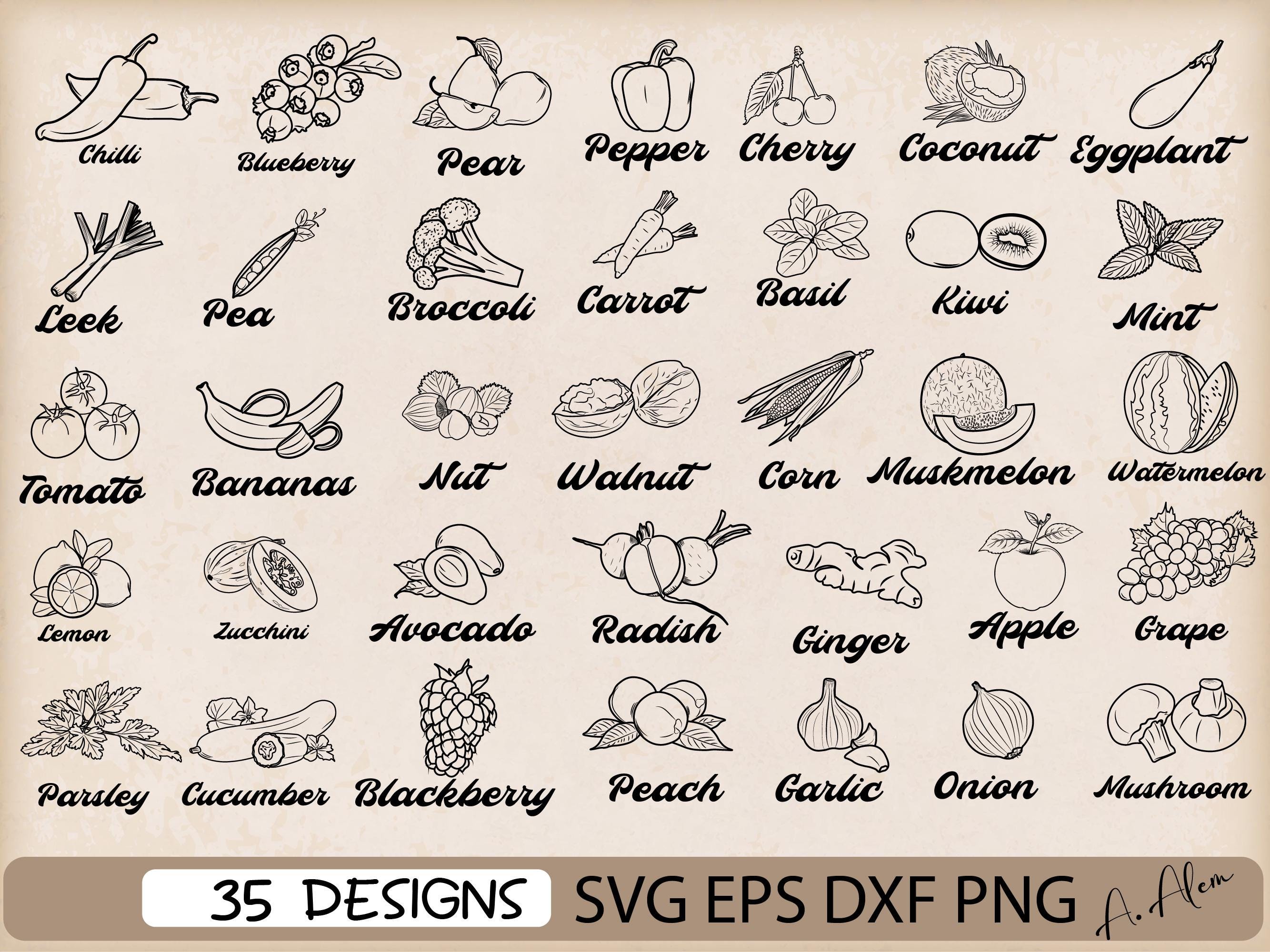 Vegetable and Fruit Clipart Bundle, Healthy Food (svg, Png, Eps, Dxf ...