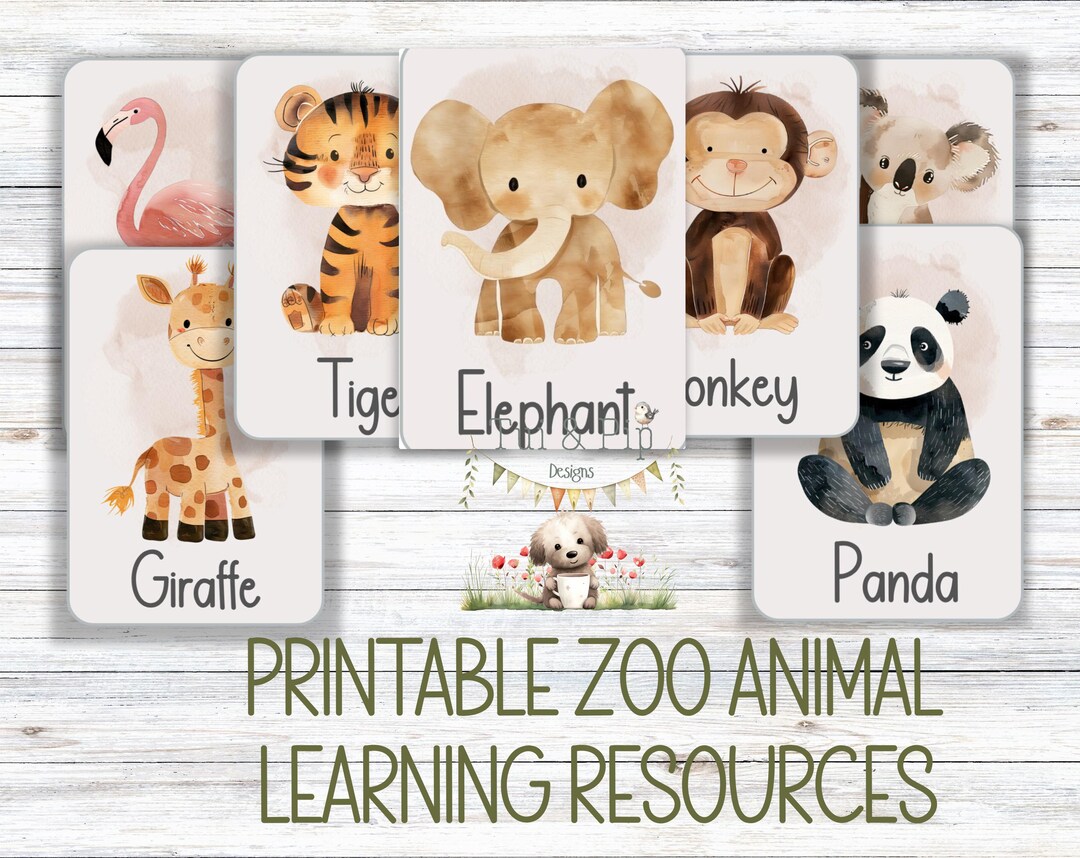 Zoo Safari Animals Nursery School Home Learning Hygge Resources ...
