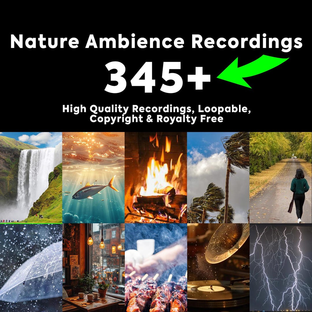 345+ Nature Ambience Recordings | Rain, Ocean, Fire, Animals & More ...