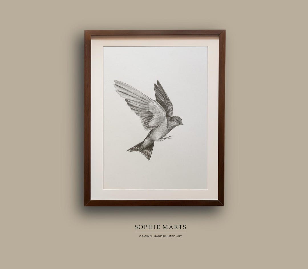 Graceful Flight – Realistic Bird Drawing, Pencil Drawing, Original ...