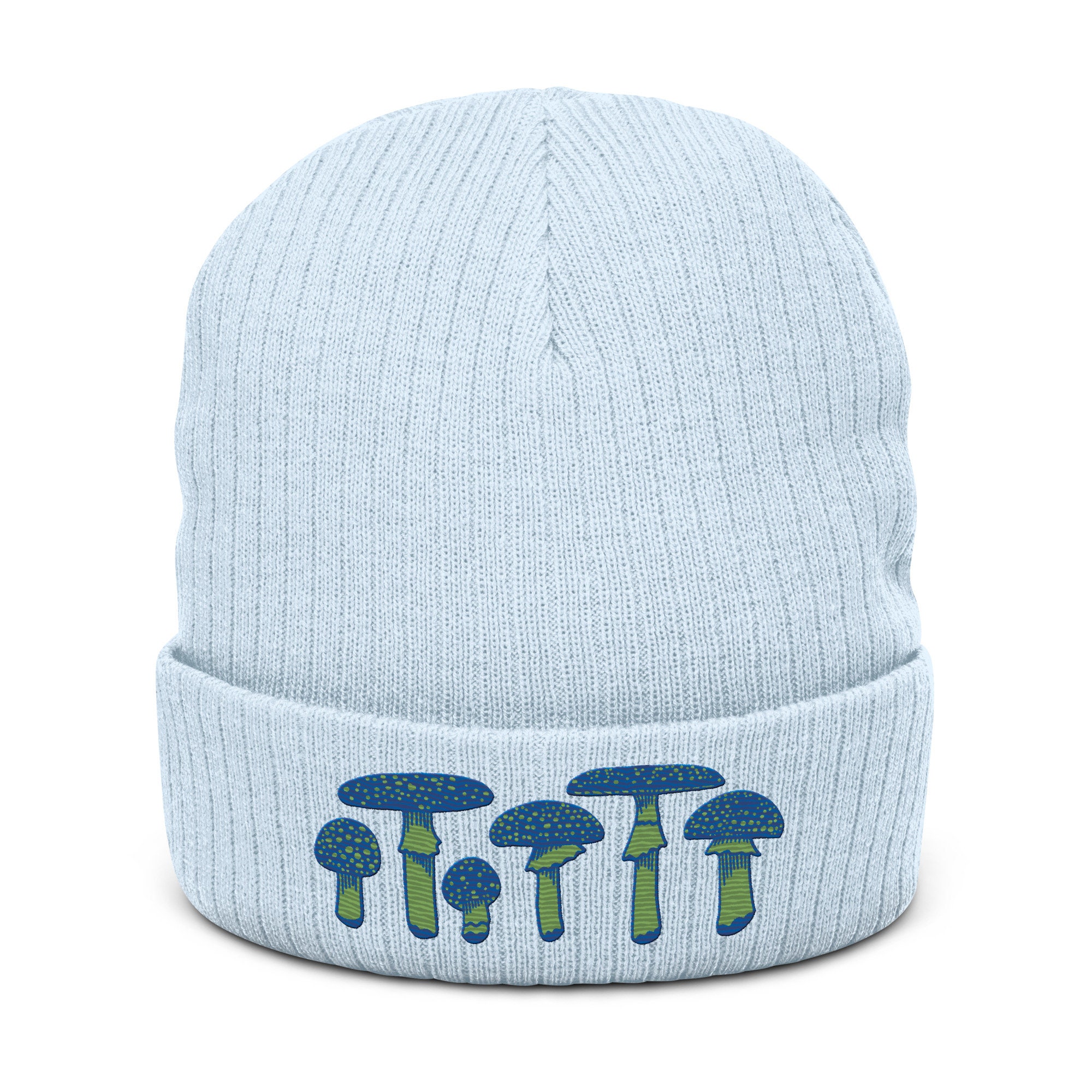 Light Blue Neff Beanie
