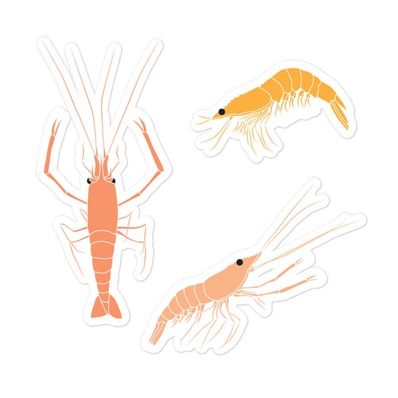 Shrimp Vinyl Stickers Set of Three Cute Crustacean Stickers - Etsy