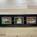 New York Yankees Picture Frame Holds 4x6 Photo - Etsy