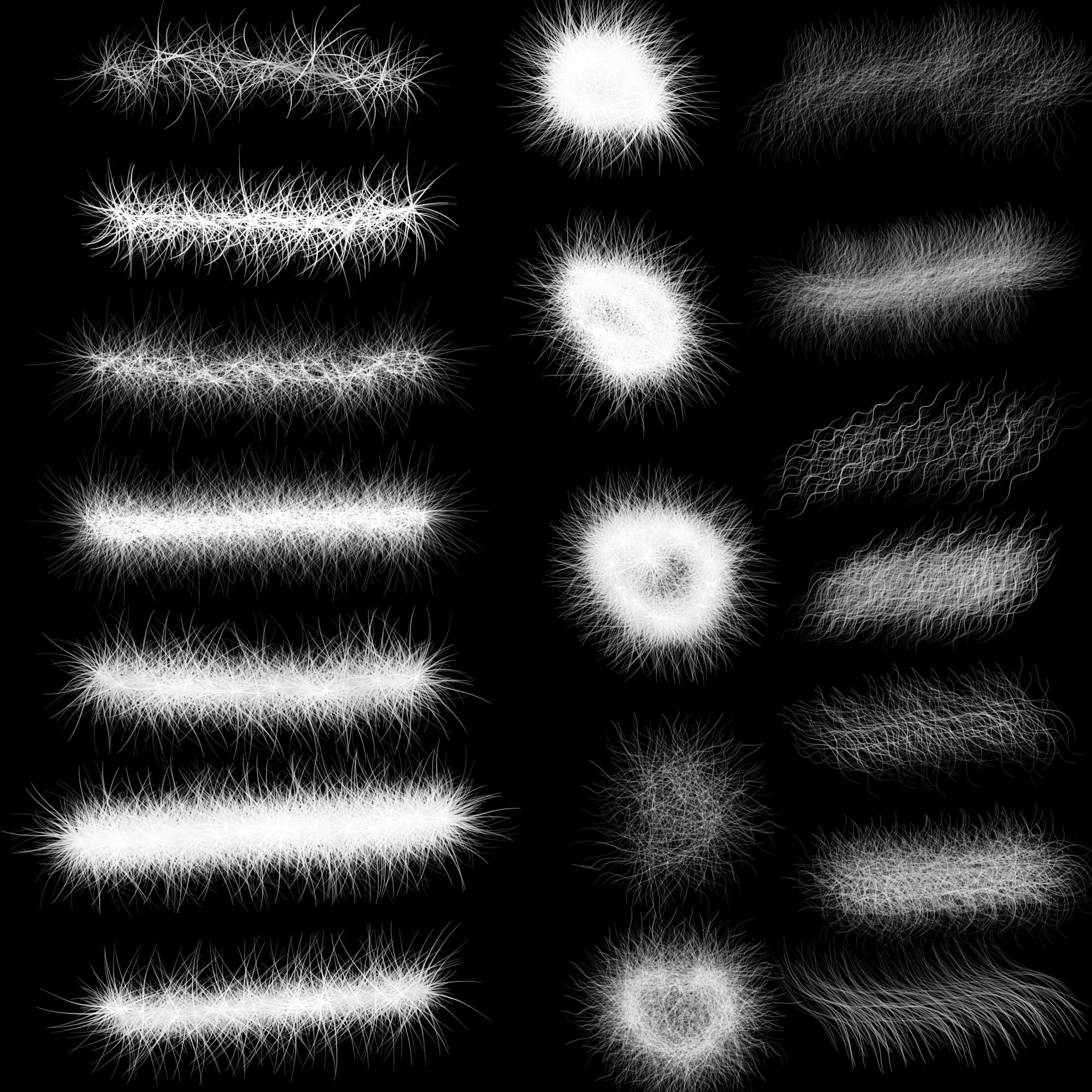 30+ Fur Brushes for Photoshop , Animal Hair Brushes Skin, Animal ...