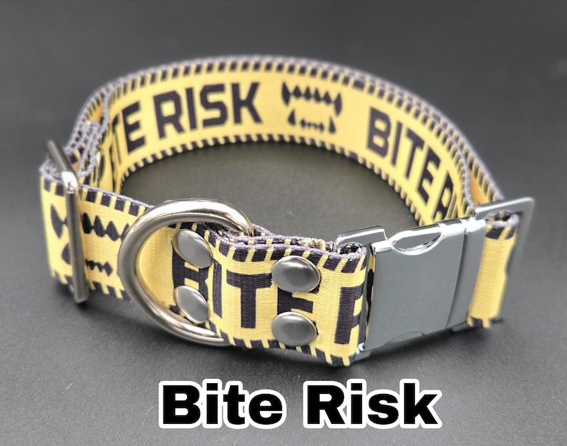 Premade Fursuit or Human Collars - Etsy