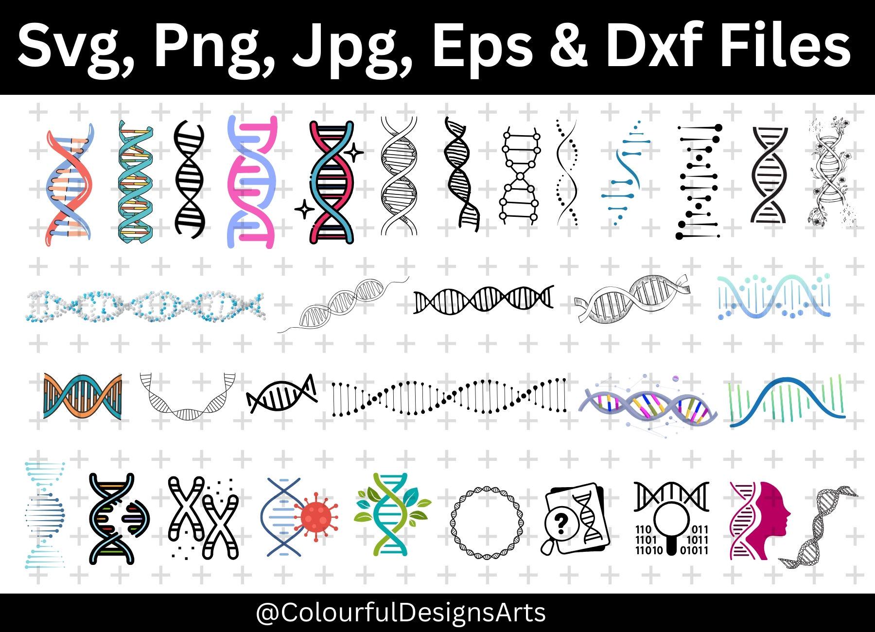 DNA SVG Bundle, Double Helix Clipart, Science Svg, Biology Cut Files ...