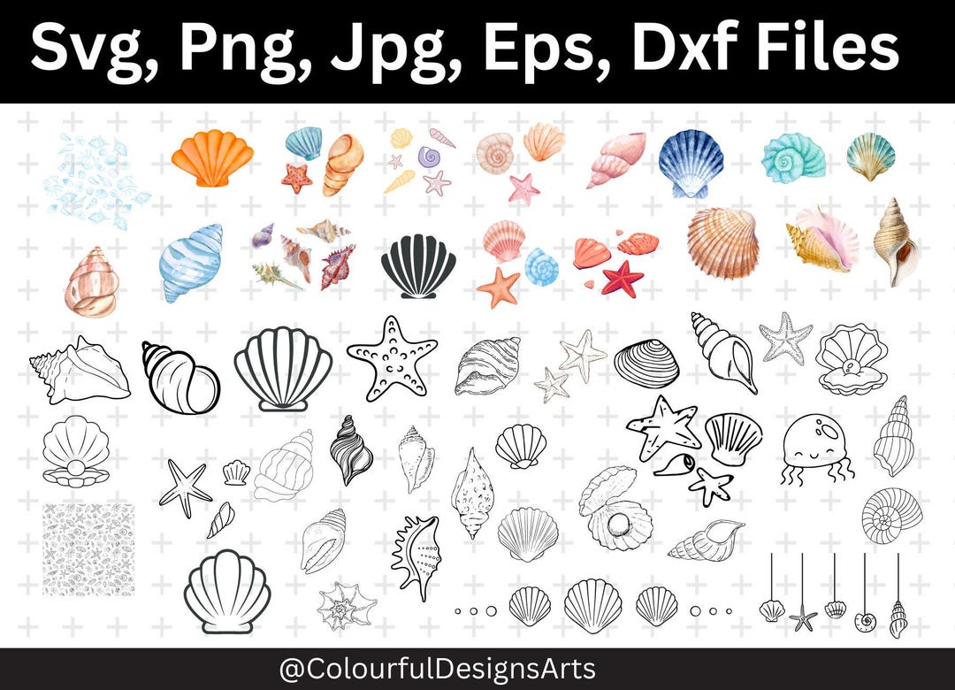 Seashell SVG Bundle, Seashell Cut Files, Seashell Clipart, Seashell SVG ...