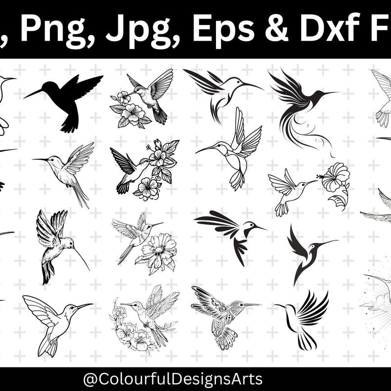 Hummingbird Svg - Etsy