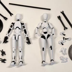 Dummy 13 & PAM (poseable Artist's Model) ~ Male and Female Fully ...