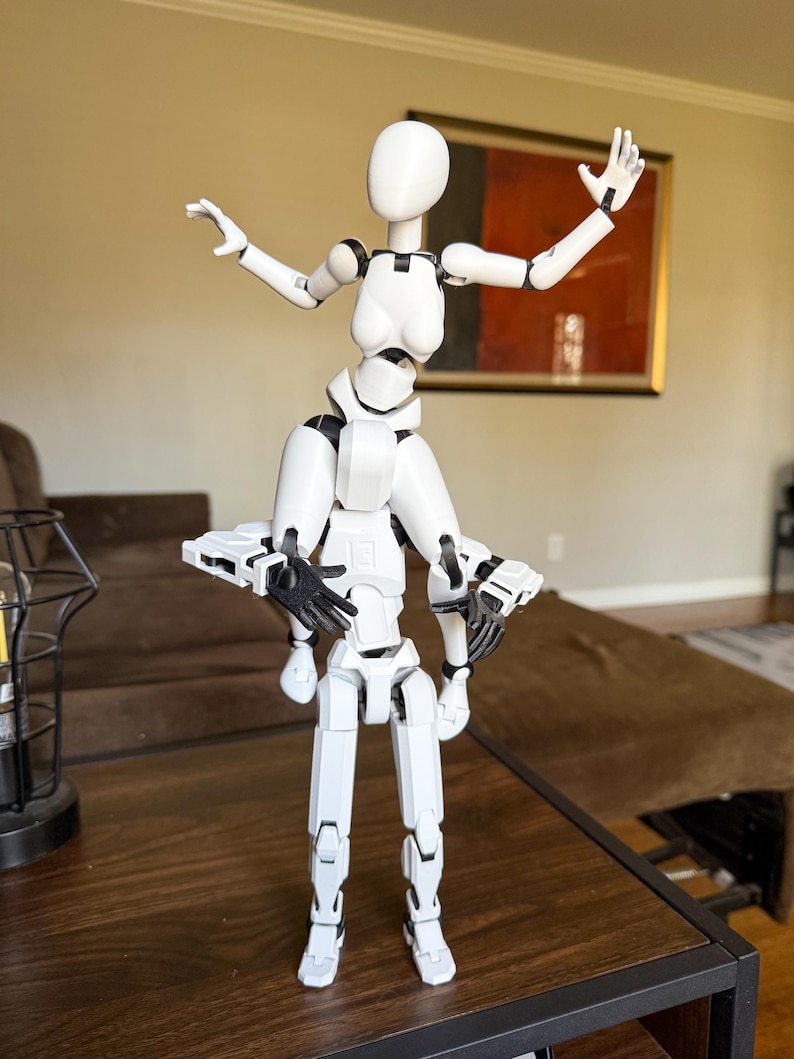 Dummy 13 & PAM (poseable Artist's Model) ~ Male and Female Fully ...