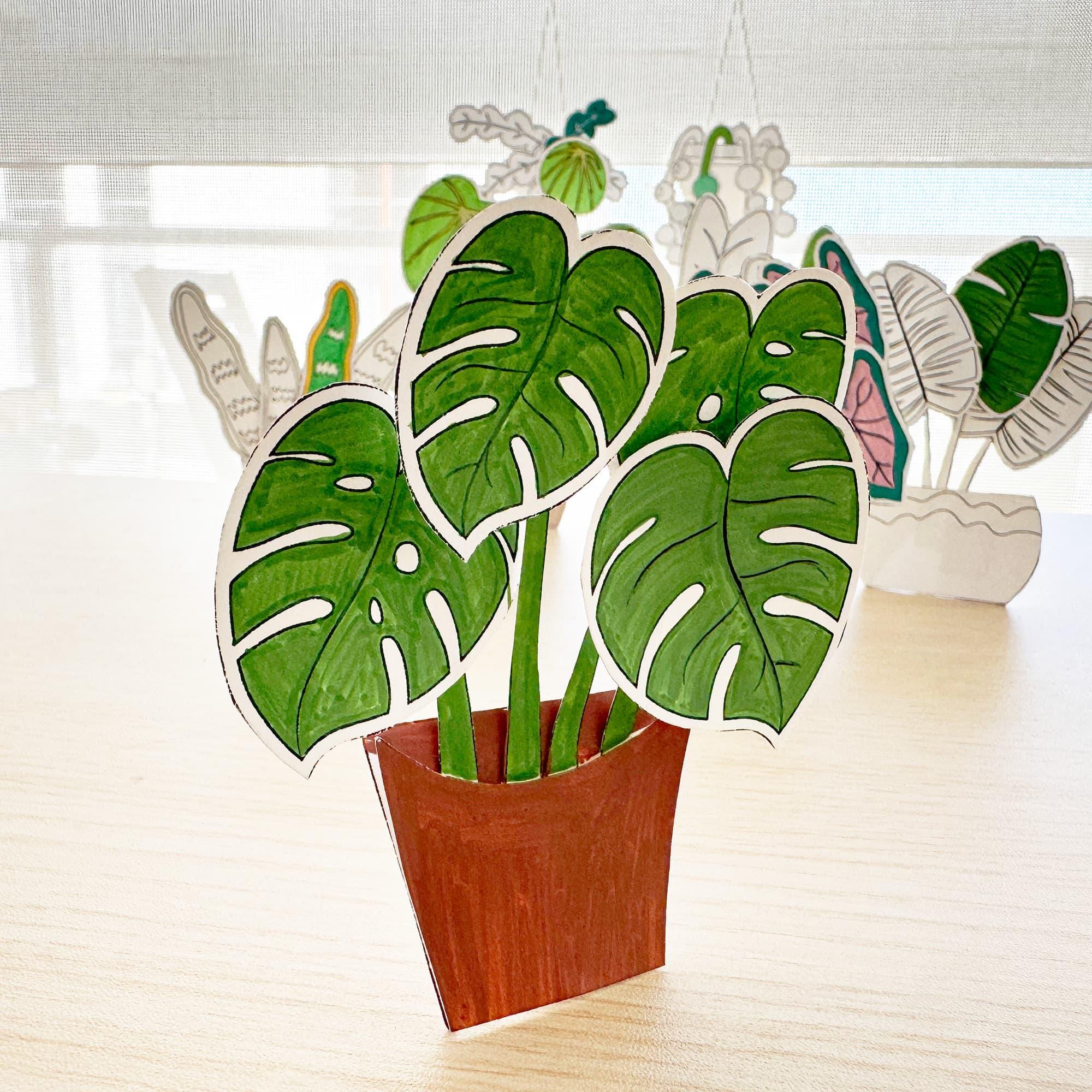 8 Printable Houseplant Coloring Pages for Kids | Digital Download Art ...