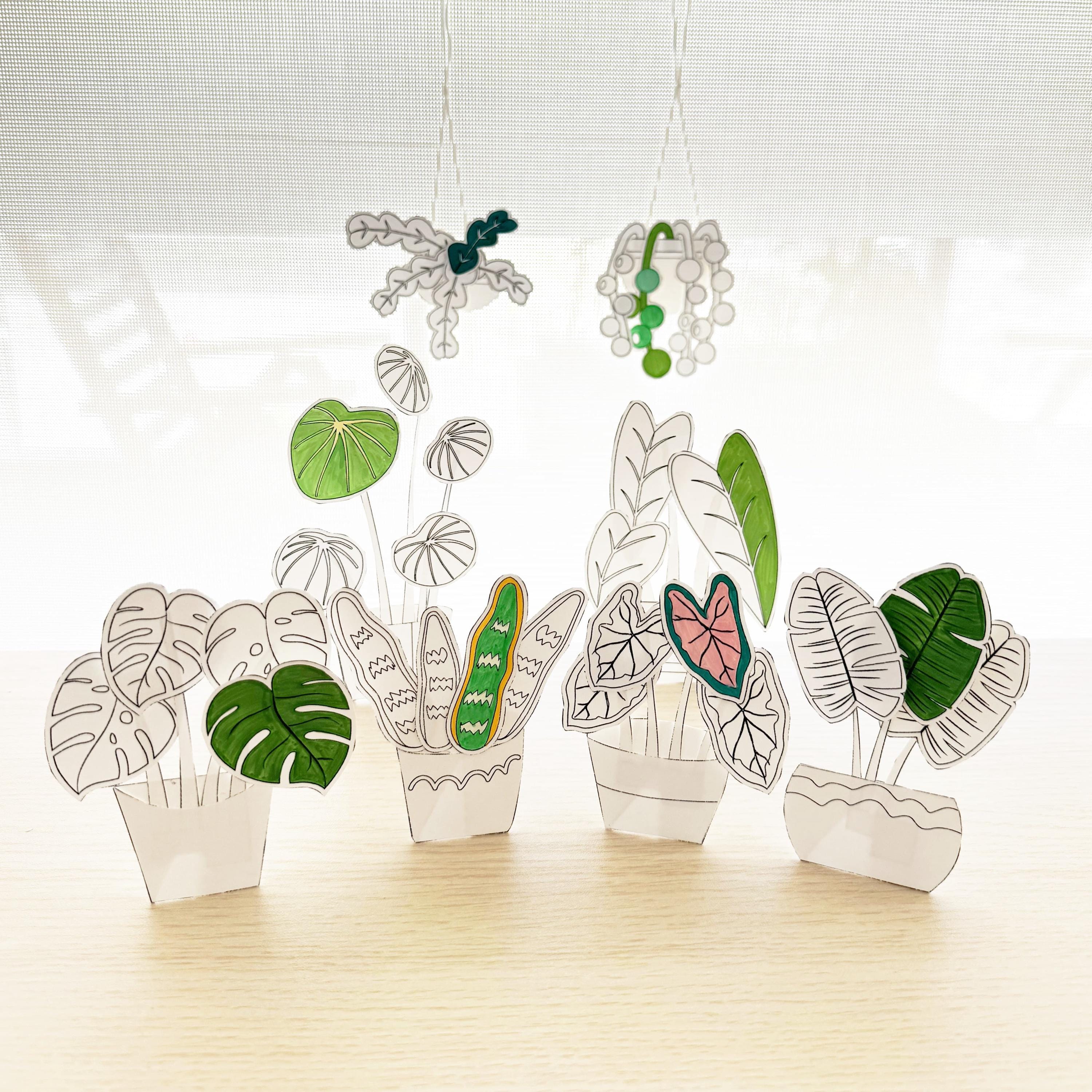 8 Printable Houseplant Coloring Pages for Kids | Digital Download Art ...