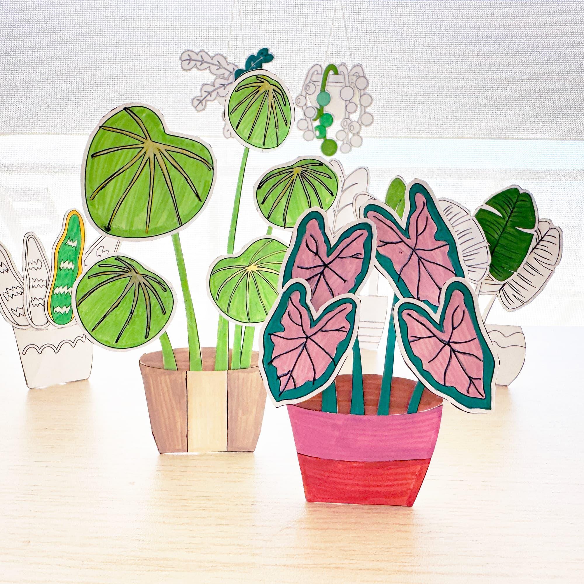 8 Printable Houseplant Coloring Pages for Kids | Digital Download Art ...