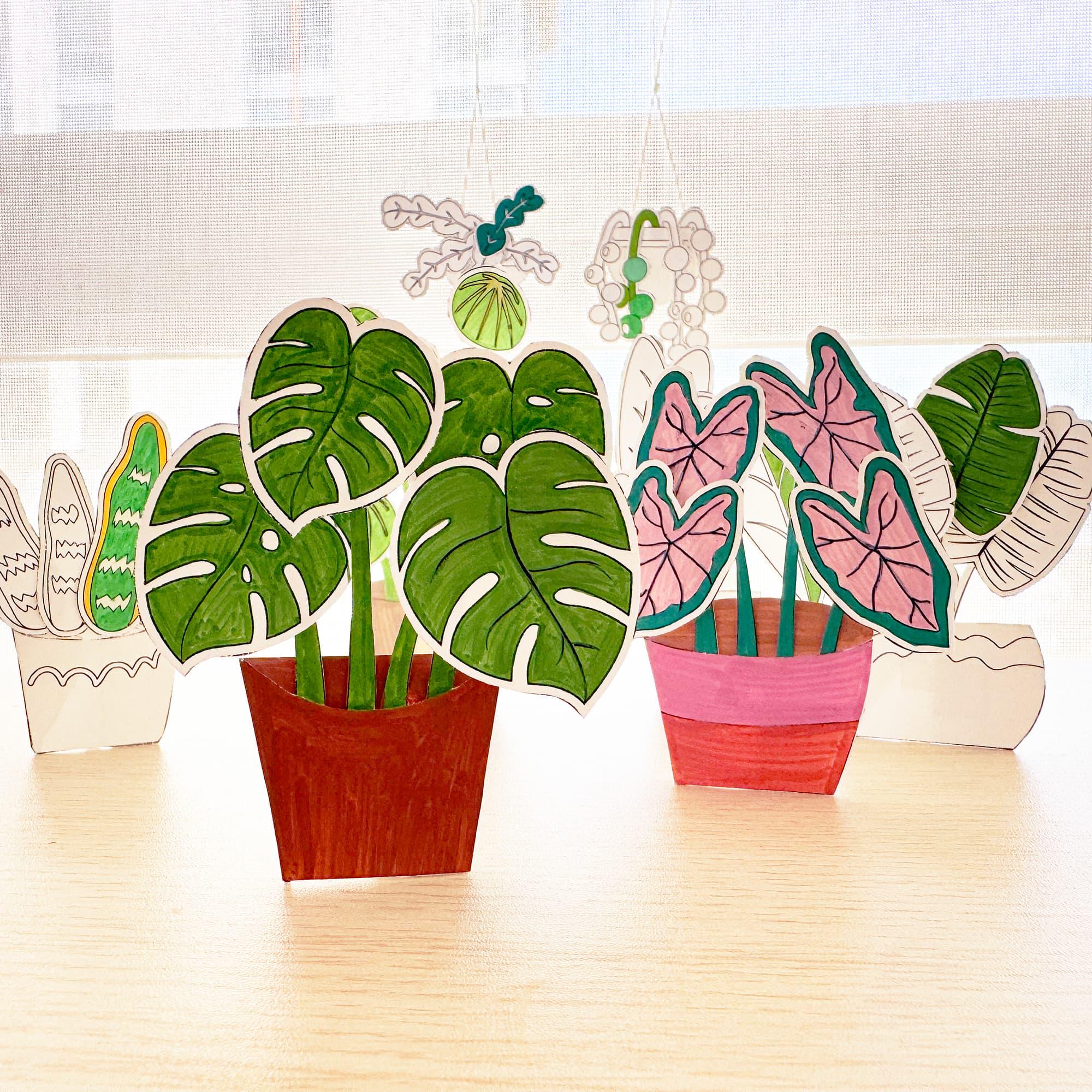 8 Printable Houseplant Coloring Pages for Kids | Digital Download Art ...