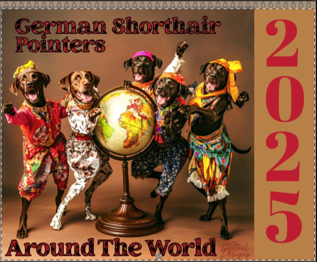 Gsp's Around the World 2025 Calendar, German Shorthair Pointers, GSP ...