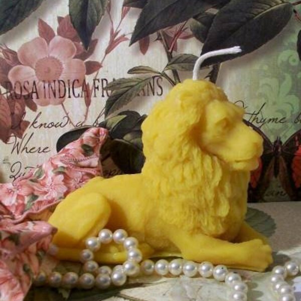 Lion Candle - Etsy