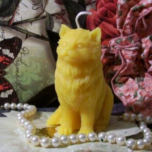 Free USA Shipping Beeswax Scarab Beetle Pillar Candle - Etsy