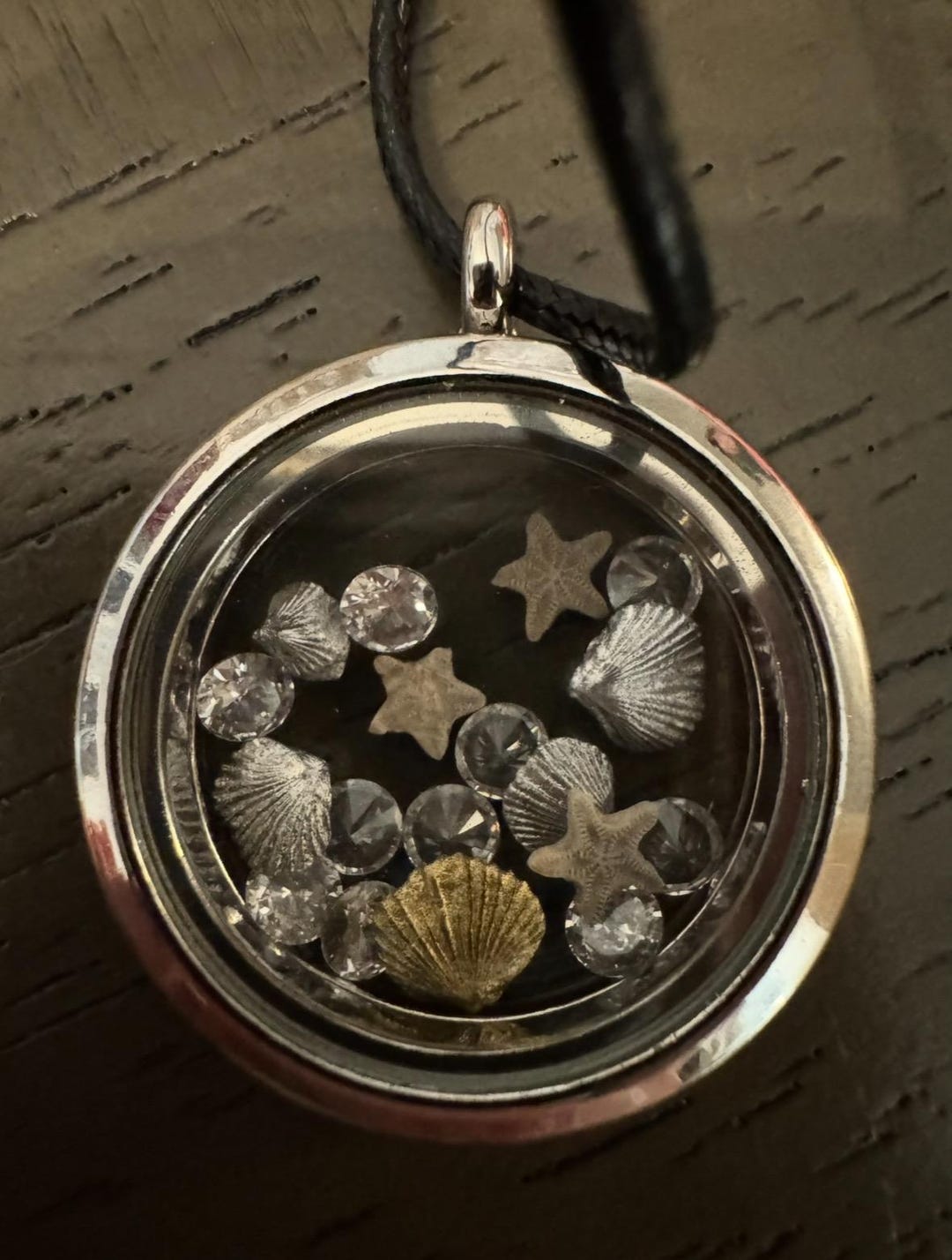 Floating Locket Filled With Brachiopod and Crinoid Fossils on Stainless ...