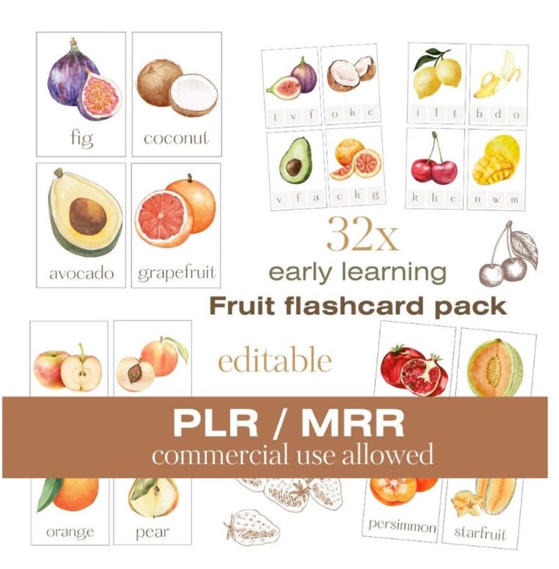 Fruit Flashcards Commercial Use/plr and MRR Rights - Etsy