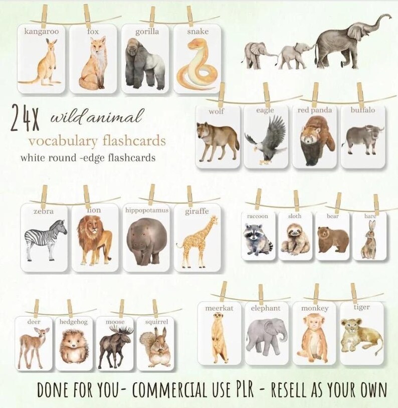 24 Wild Animal Flashcards PRL - Etsy