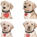 Cute Anime Labrador Retriever PNG | Adorable Golden Dog Cartoon SVG ...