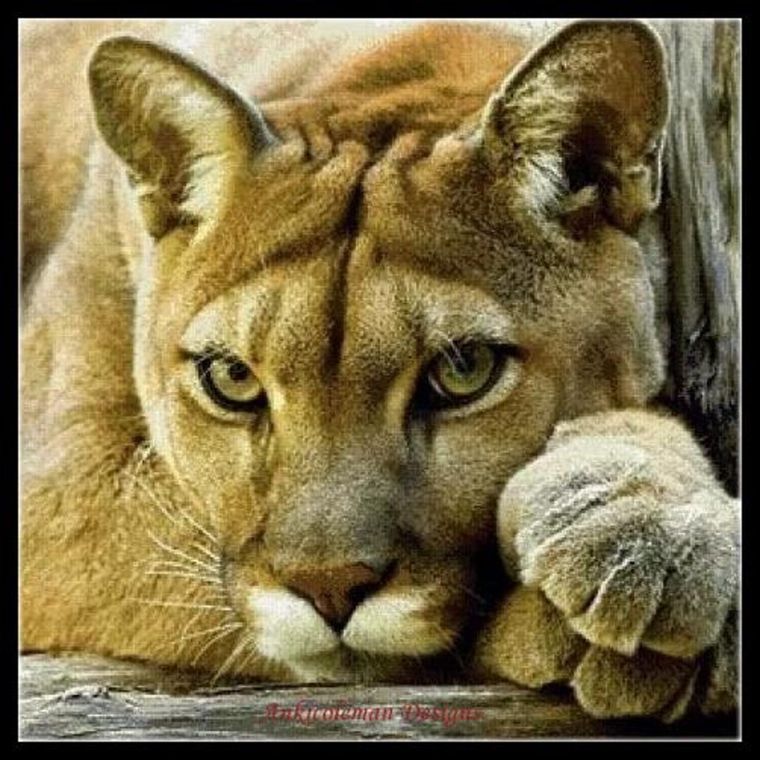Head Portrait of a Female Lion - Cross Stitch Patterns Printable Chart ...