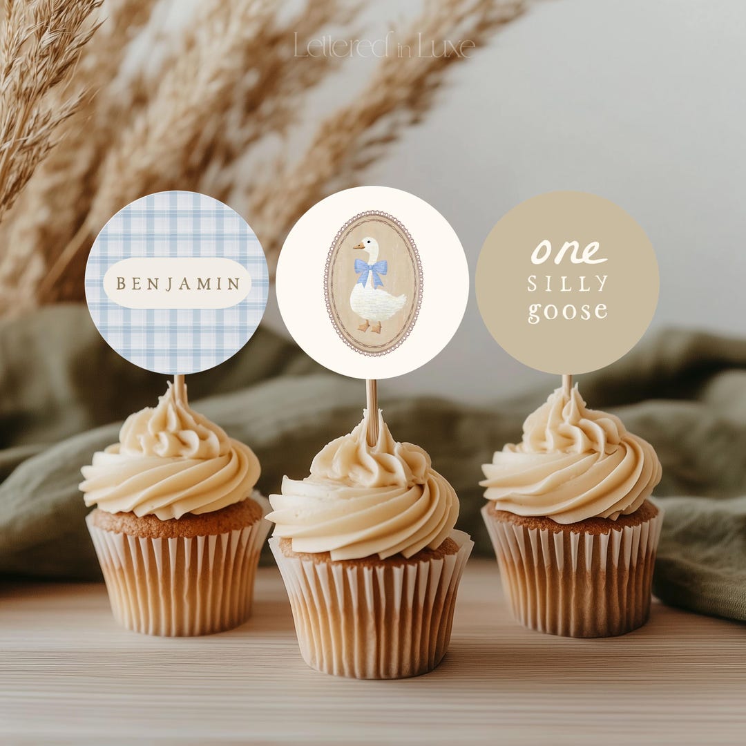 One Silly Goose Birthday Cupcake Toppers | Editable Goose Boy 1st Year ...
