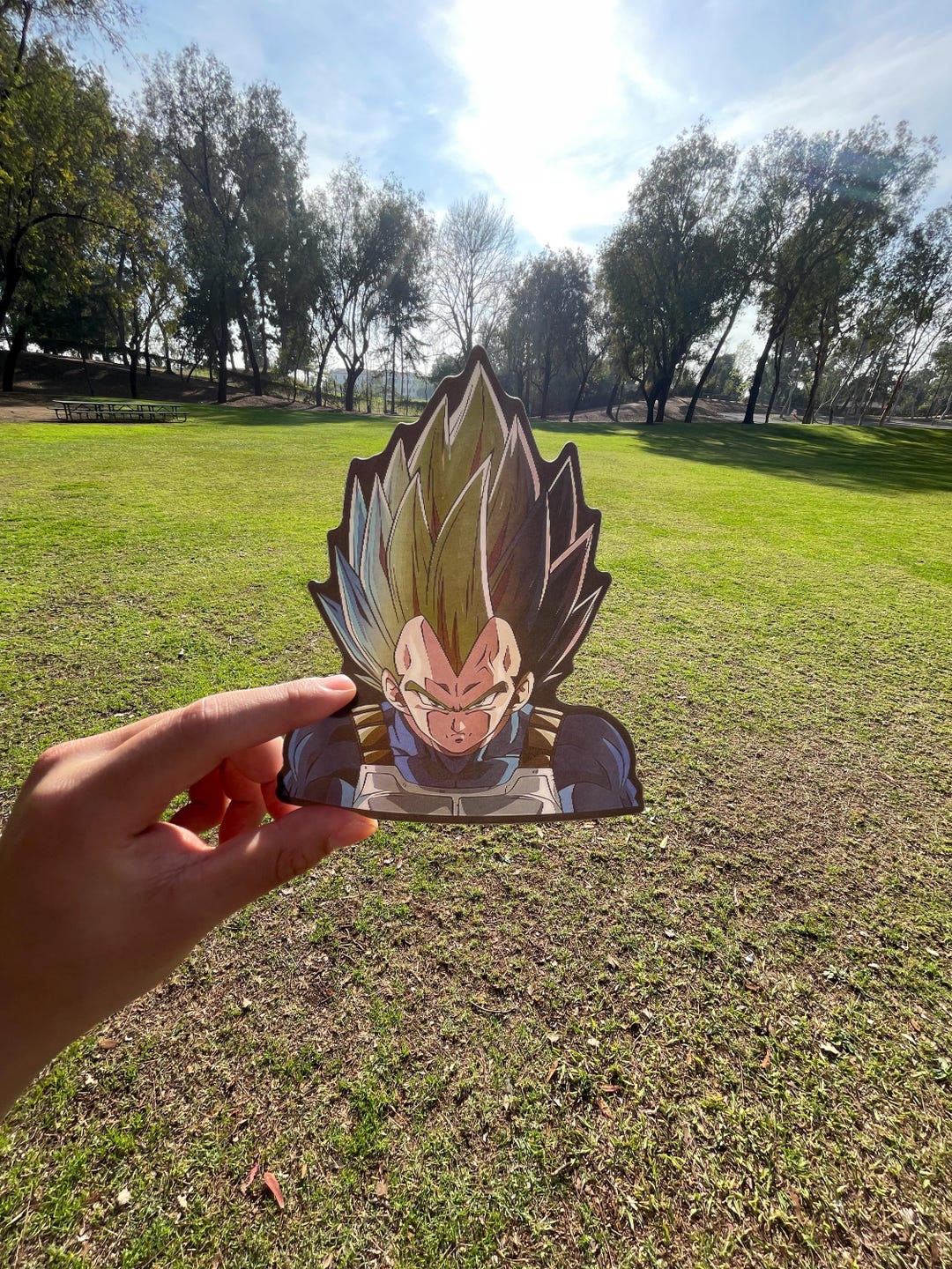 Anime Sticker - Etsy