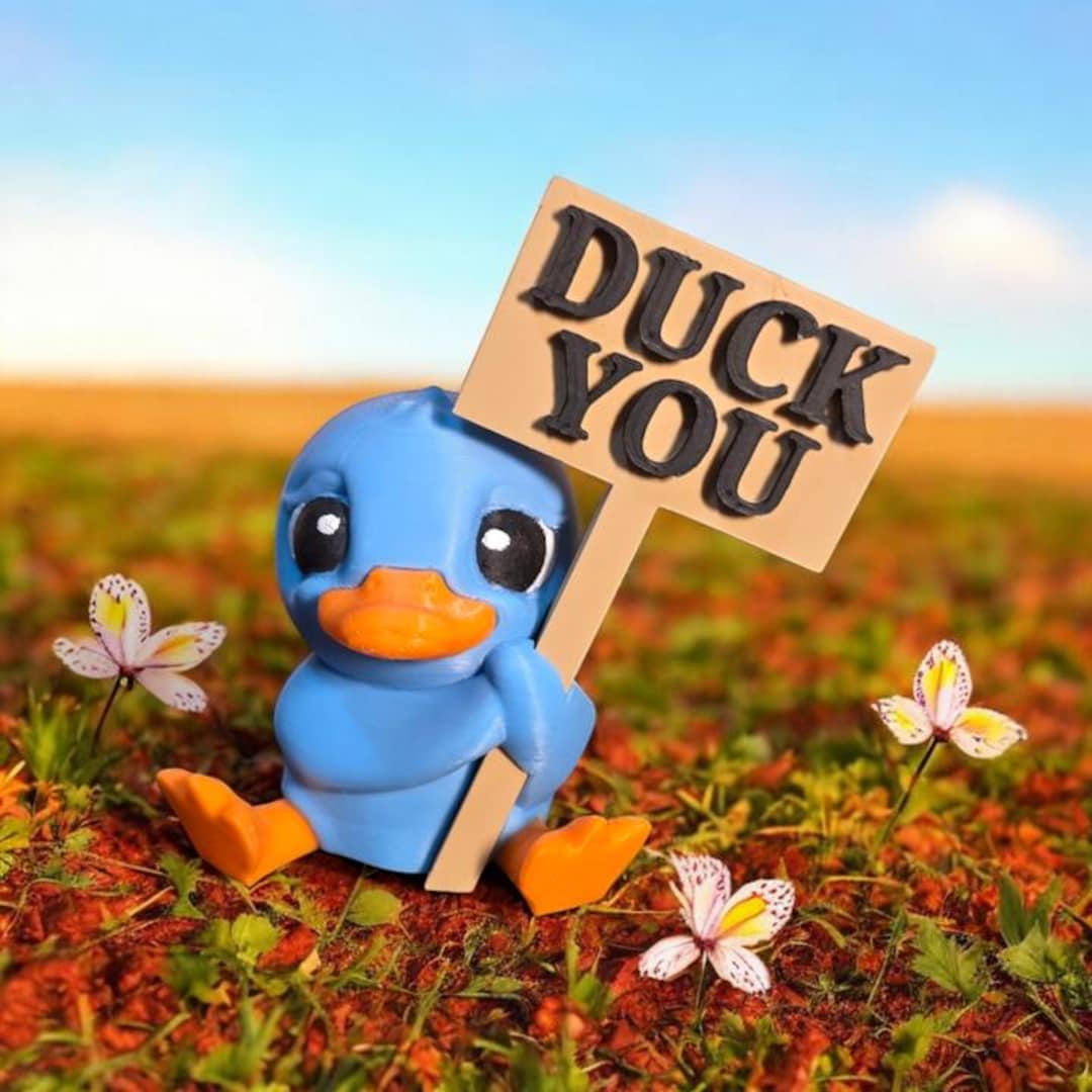 Duck You - Cute Duck With Sign - Etsy