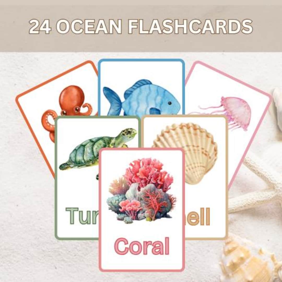 Ocean Flashcards: Sea Life Learning Cards (digital Download) - Etsy