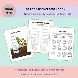 Grade 1 Science Workbook | Nature, Animals & Seasons Printable PDF ...