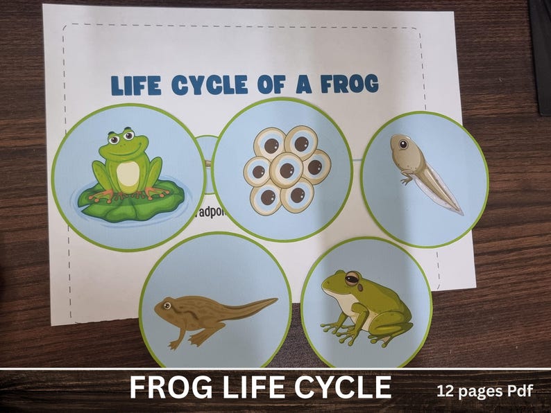 Frog Life Cycle Cut & Paste Activity: Spring Science Craft (PDF ...