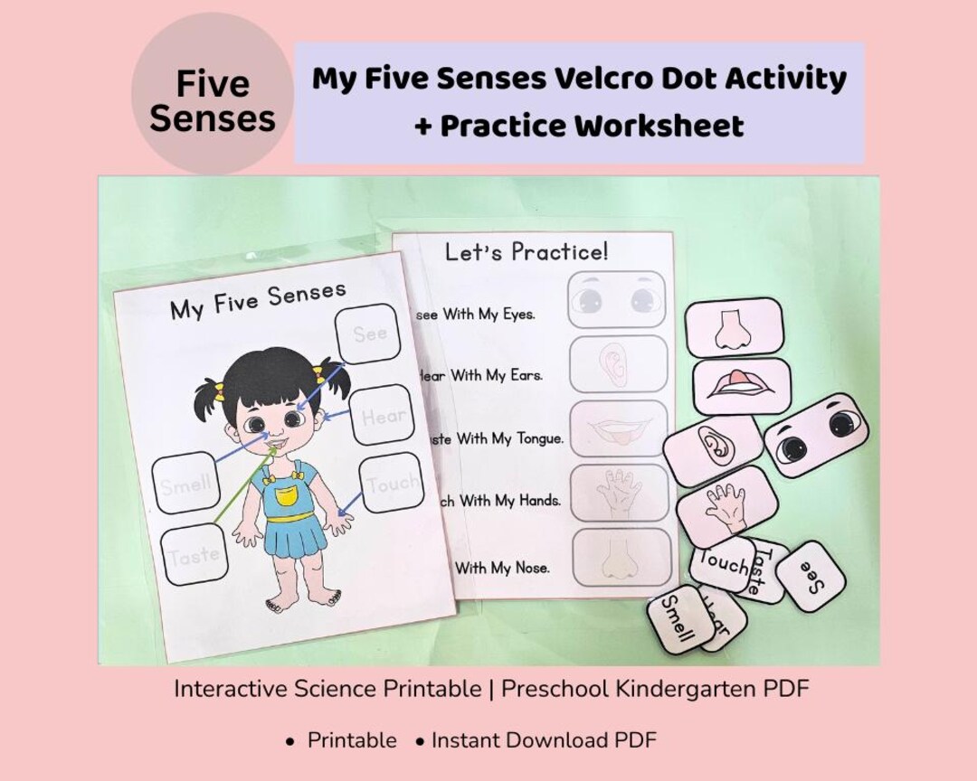 My Five Senses Velcro Dot Activity + Practice Worksheet | Interactive ...