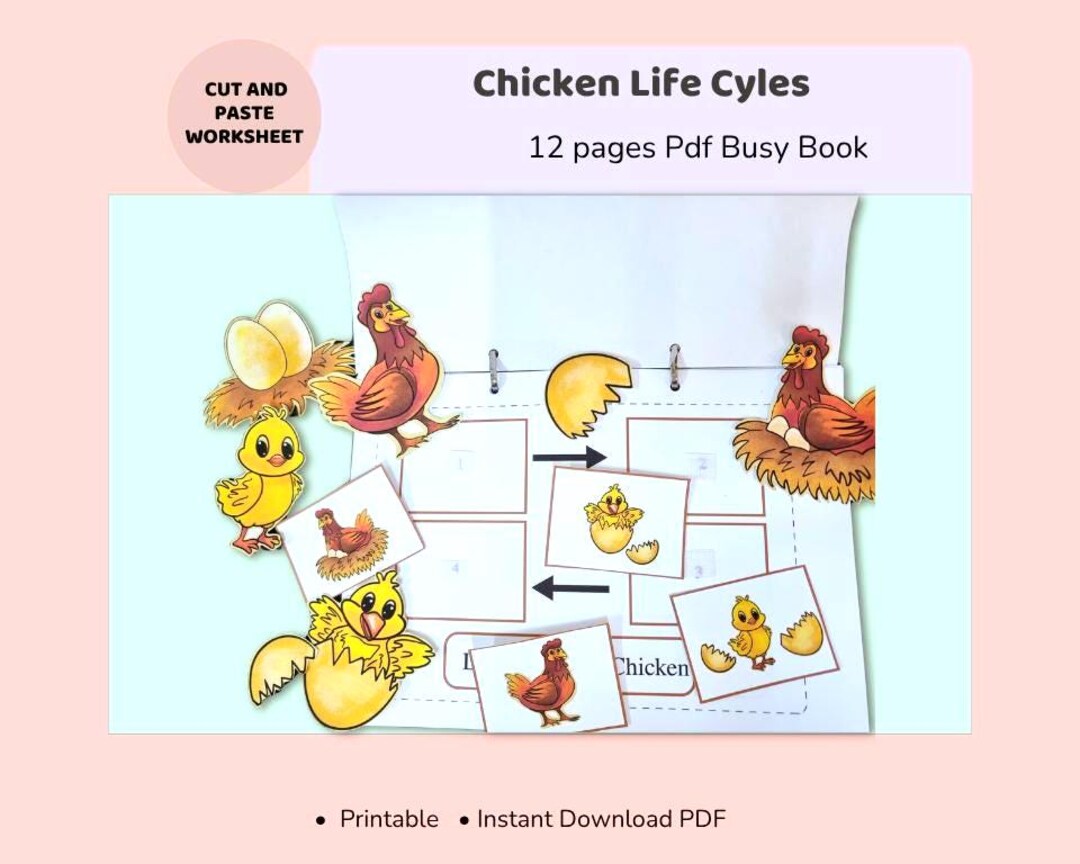 Chicken Life Cycle Busy Book | Homeschool Learning Activity Printable ...
