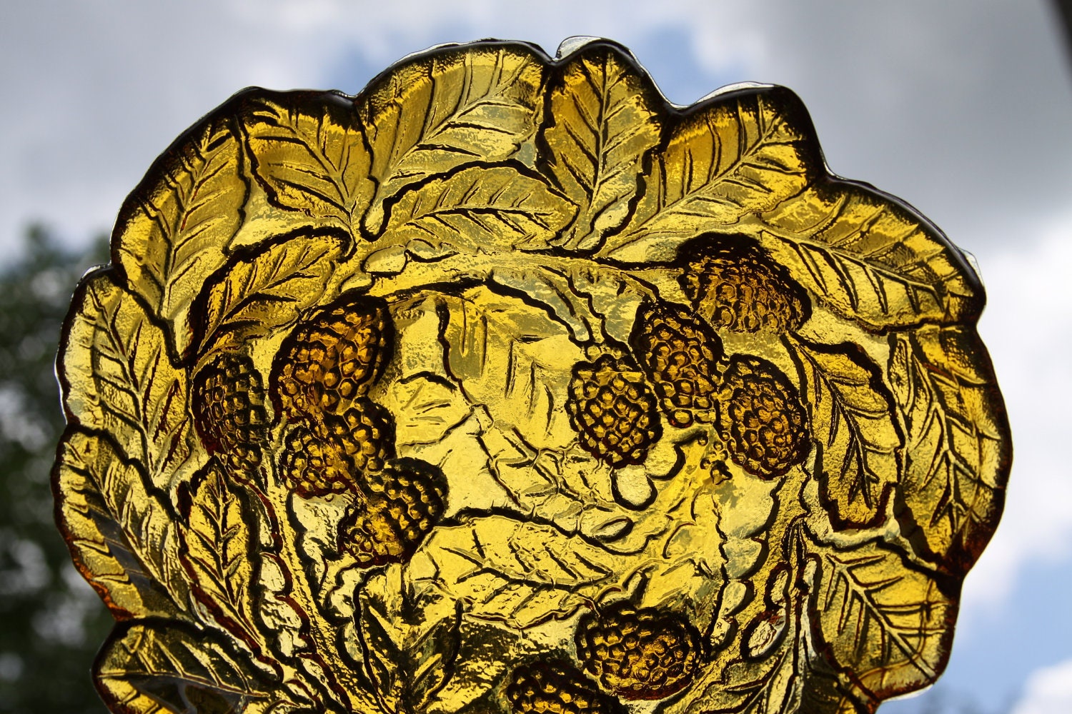 Amber Autumn Berry Bowl With Raised Motif of Leaves and Berries Perfect ...