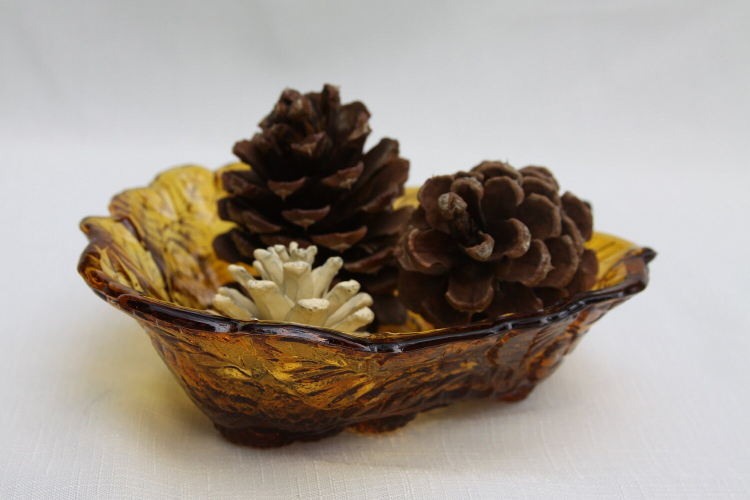 Amber Autumn Berry Bowl With Raised Motif of Leaves and Berries Perfect ...