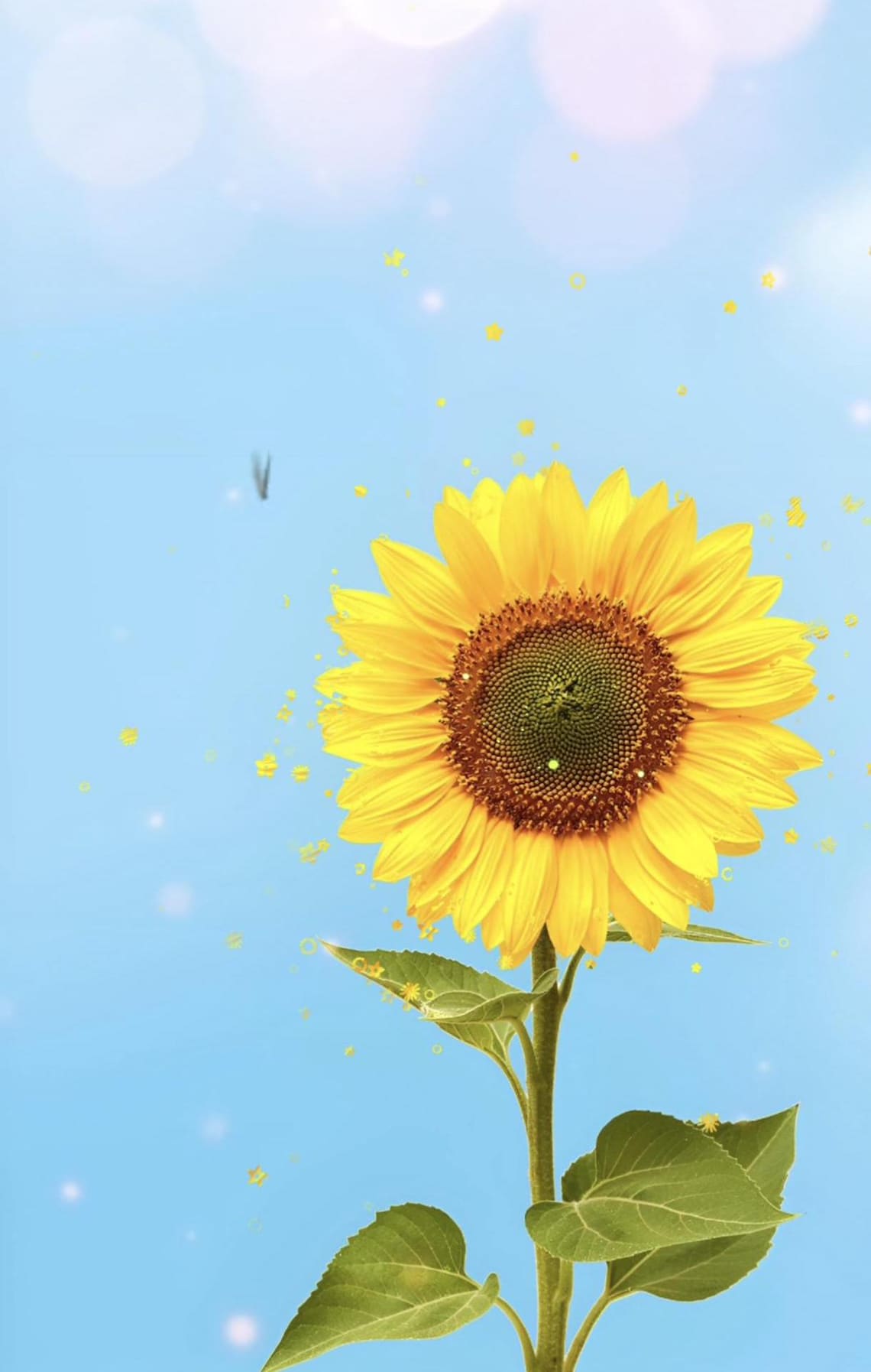 Sunflower Animated Wallpaper - Etsy