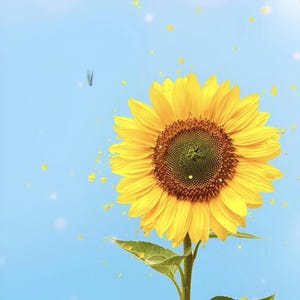 Sunflower Animated Wallpaper - Etsy