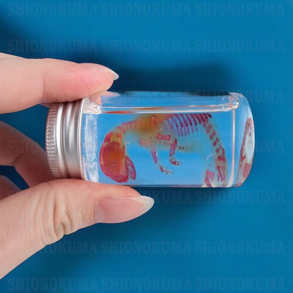 Diaphonization - Etsy