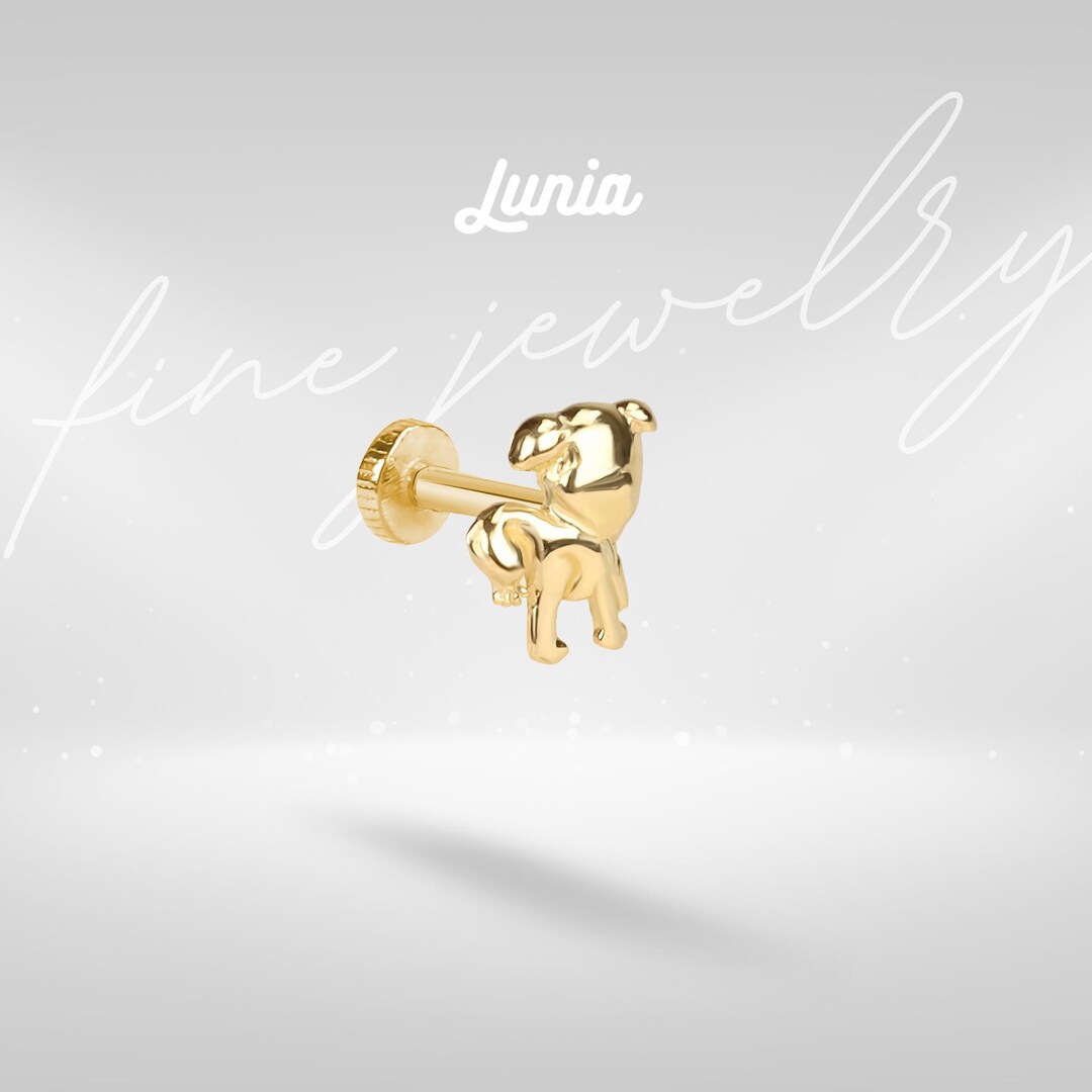 14K Gold Dog Flatback Ear Piercing Lobe Earring Studs Bulldog Puppy ...