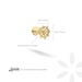 14K Solid Gold Ship Helm Flat Back Earrings Tragus Jewelry Nautical ...