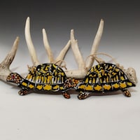 Box Turtle - Etsy