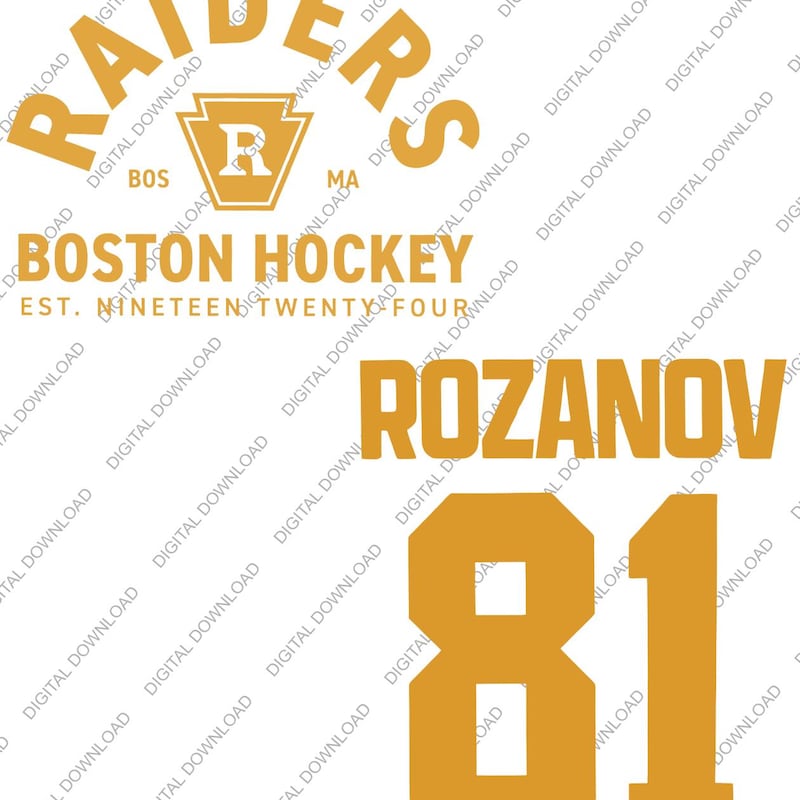 Boston Raiders Sticker - Etsy