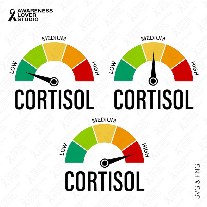 3 Gauge Bundle Cortisol Levels SVG PNG : Low Medium High Stress ...