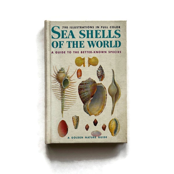 Sea Shells Books - Etsy