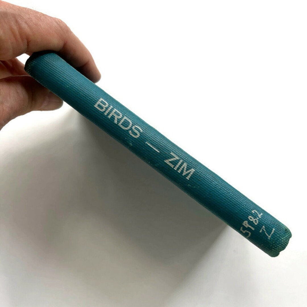 Golden Field Guide to Birds - Hardcover - Published in 1949 - Good ...