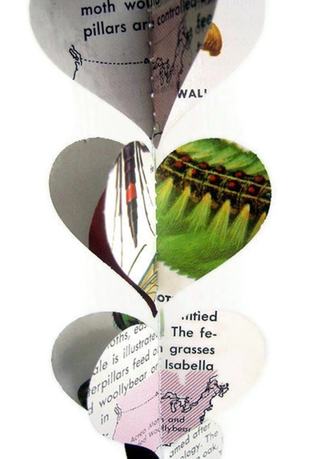 Insects Paper Heart Garland - Etsy