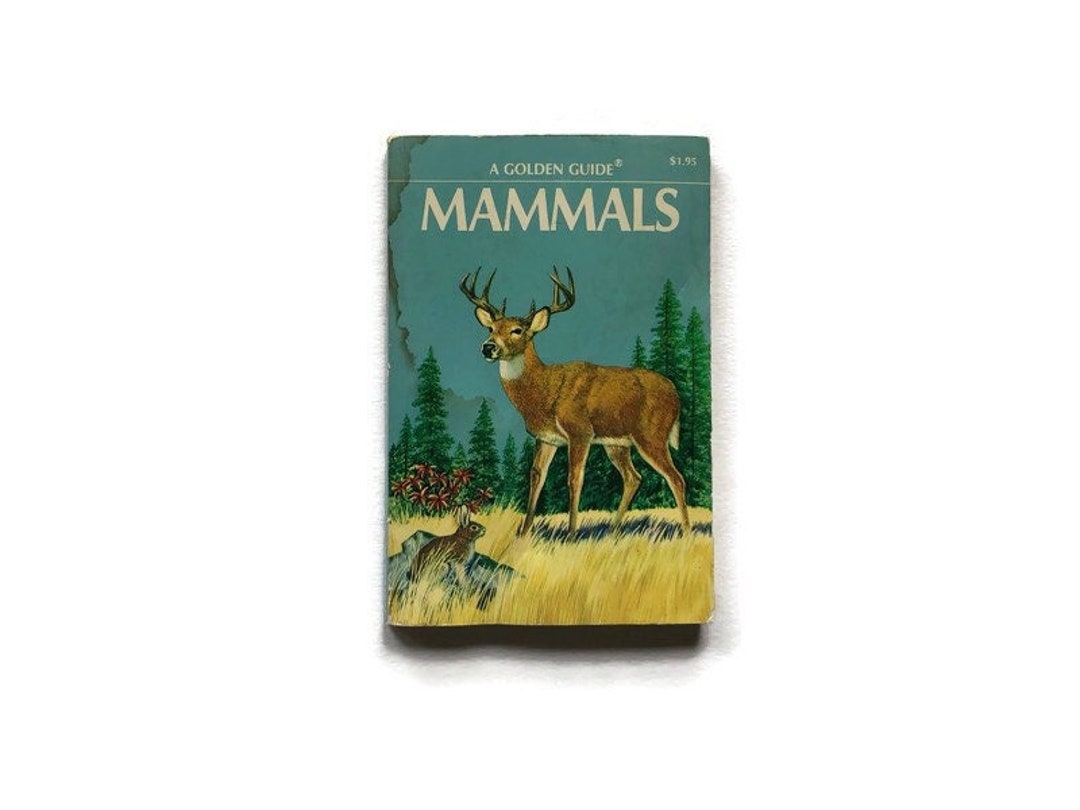 Vintage Golden Field Guide to Mammals 1955 Poor Condition Paperback ...