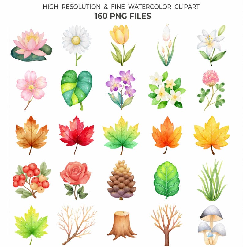 Cute Little Love Bugs Clipart, Insects Clipart, Spring Clip Art Bundle ...